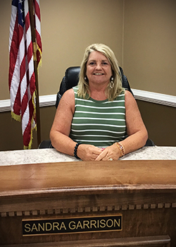 Homer, GA | Mayor and Council